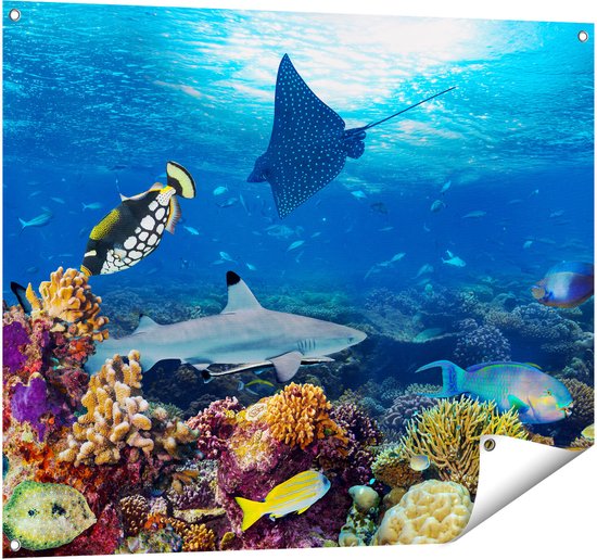 Gards Tuinposter Vissen met Koraalrif in de Oceaan - 100x80 cm ...
