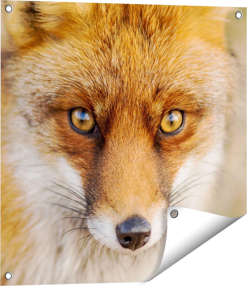 Gards Tuinposter Vossenkop met Bruine Ogen - Vos - 60x60 cm - Tuindoek ...
