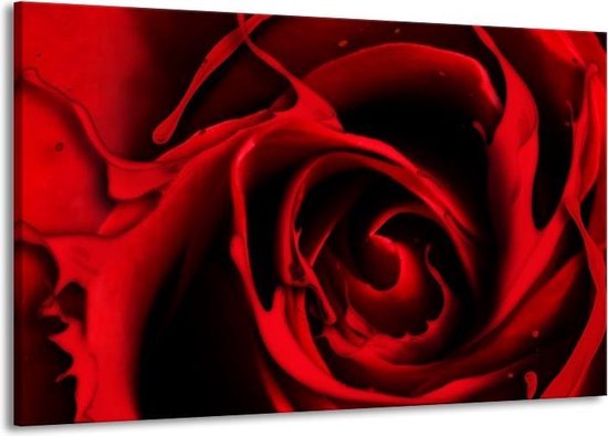 Schilderij Op Canvas - Groot - Roos - Rood, Zwart - 140x90cm 1Luik ...