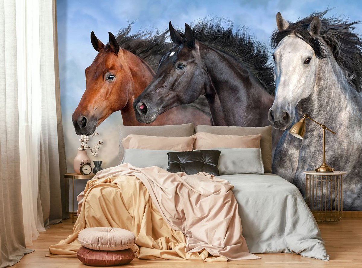 Fotobehang - Vlies Behang - Paarden - 254 x 184 cm | bol.com