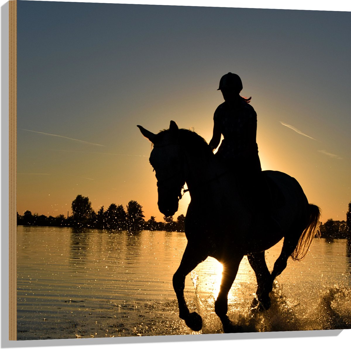 Hout - Silhouet van Ruiter op Paard rennend door Zeewater - 80x80 cm ...