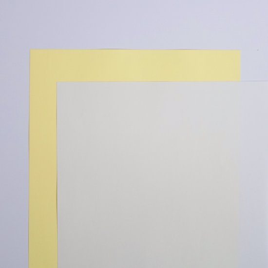 blanco doorschrijf laserpapier - 250 sets in 2 voud | bol