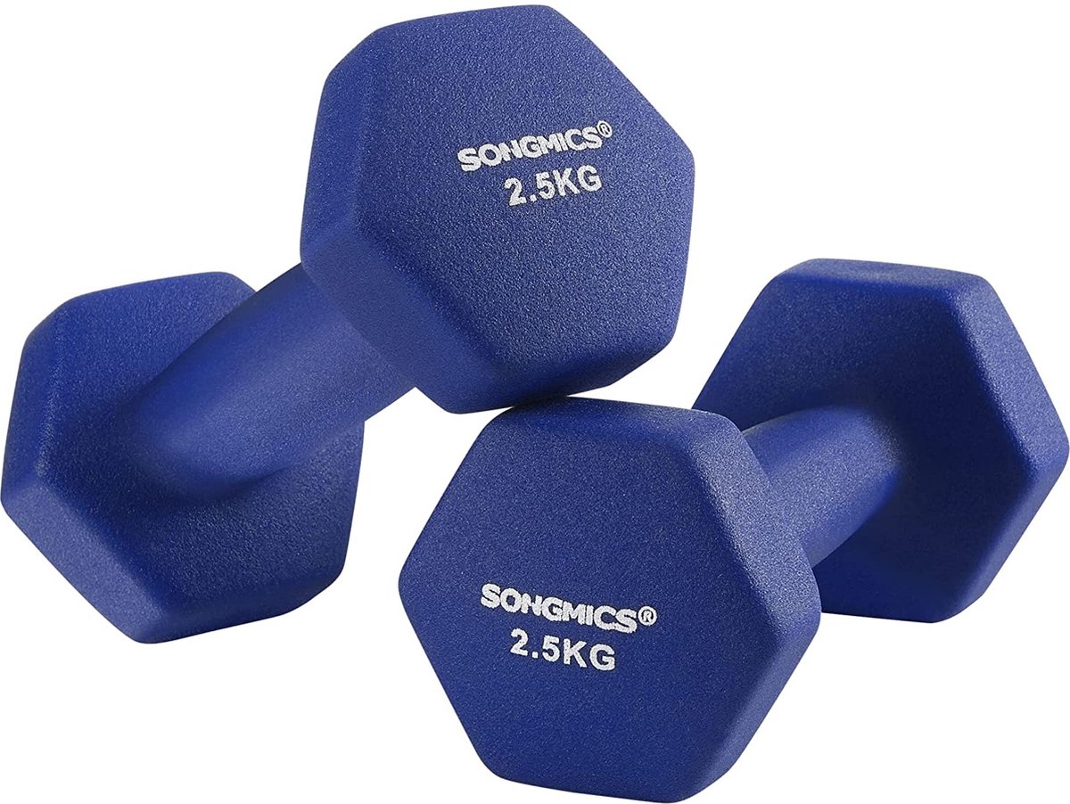 Mira Home Dumbbells Handgewichten Blauw Gietijzer 2 x 2,5 kg | bol.com