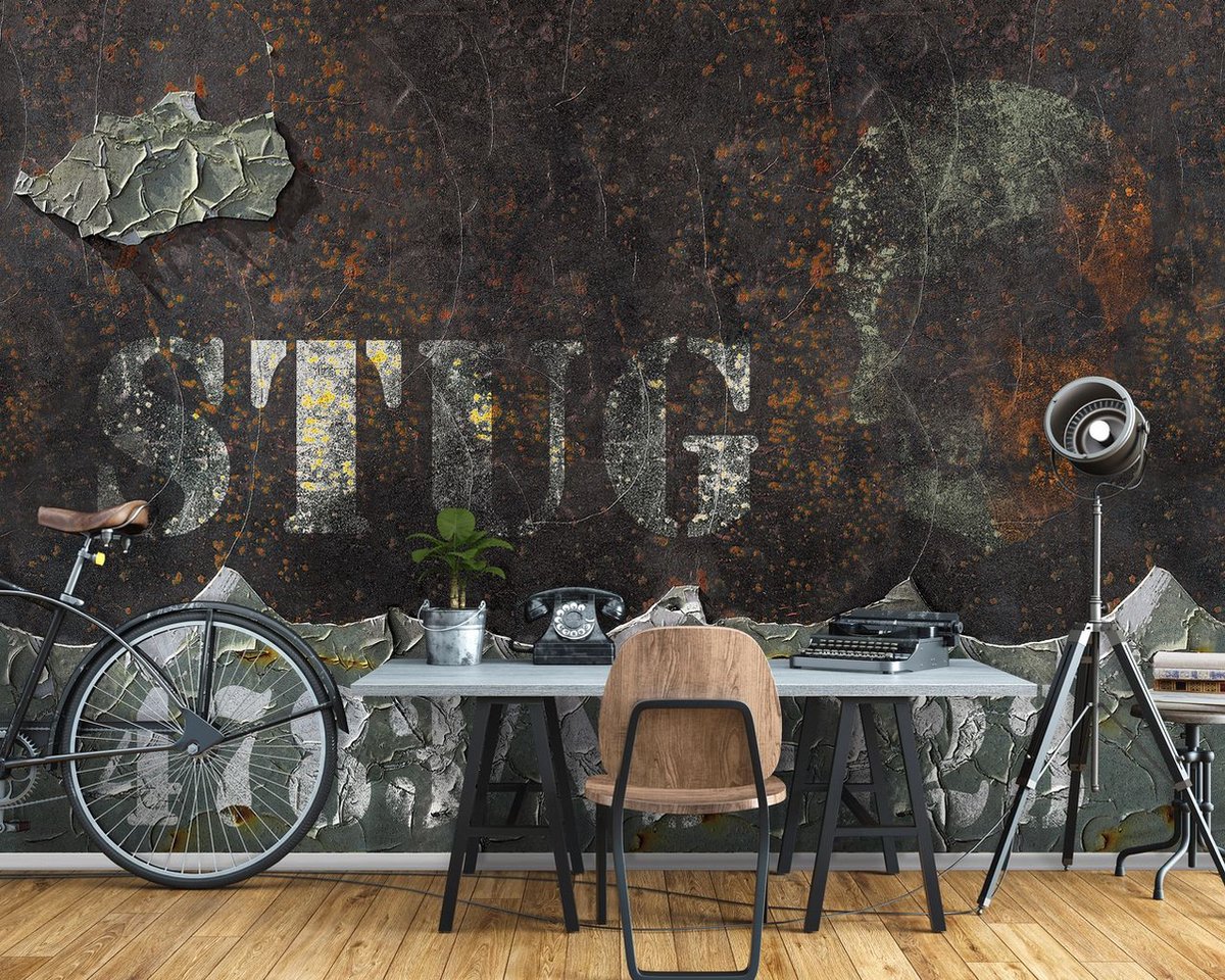 Fotobehang - Vlies Behang - Oude Roestige Muur met Schedel - 254 x 184 ...