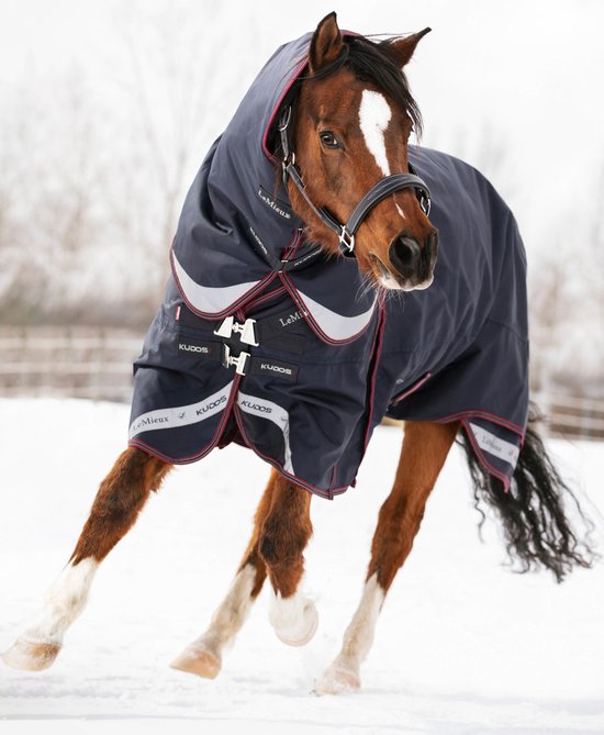 Le Mieux Kudos Turnout Rug - Model: 50g - Maat: 145/195/6.6 | bol.com