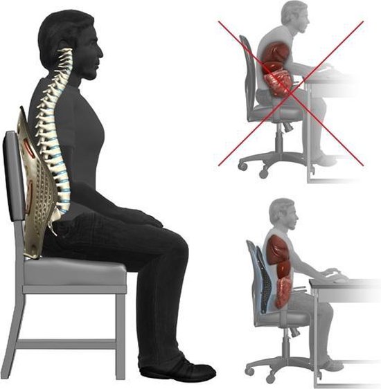 Dr. Ho Back Rest Duo Massagekussen - Verlicht Rugpijn | bol