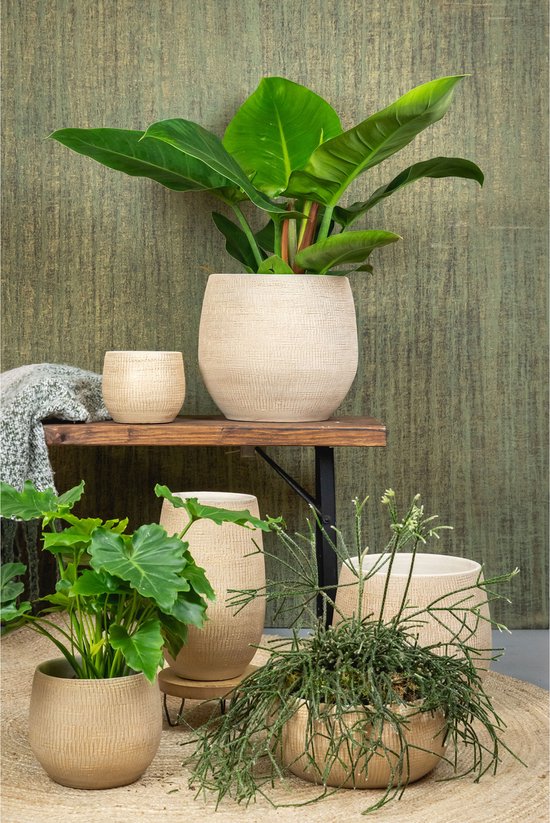 Ter Steege Plantenpot - moderne look - beige - 15 x 13 cm - bloempot | bol
