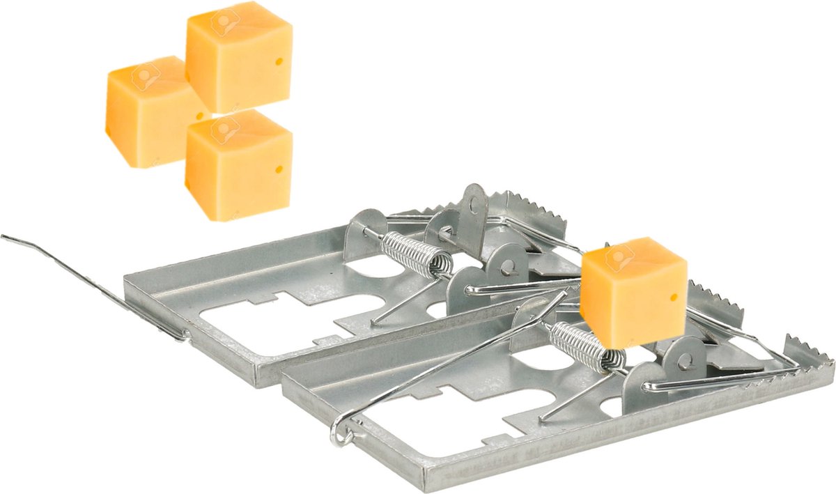 10x Muizenvallen/muizenklemmen 10 cm - Ongediertebestrijding ...