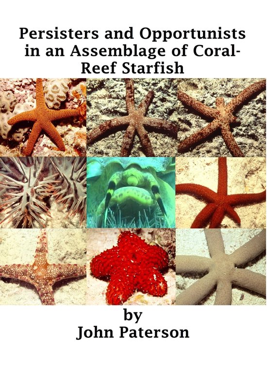 Persisters and Opportunists in an Assemblage of Coral-Reef Starfish ...