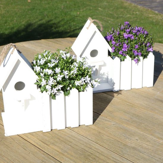 Campanula Addenda Ambella Intense | Klokjesbloem paars in houten ...