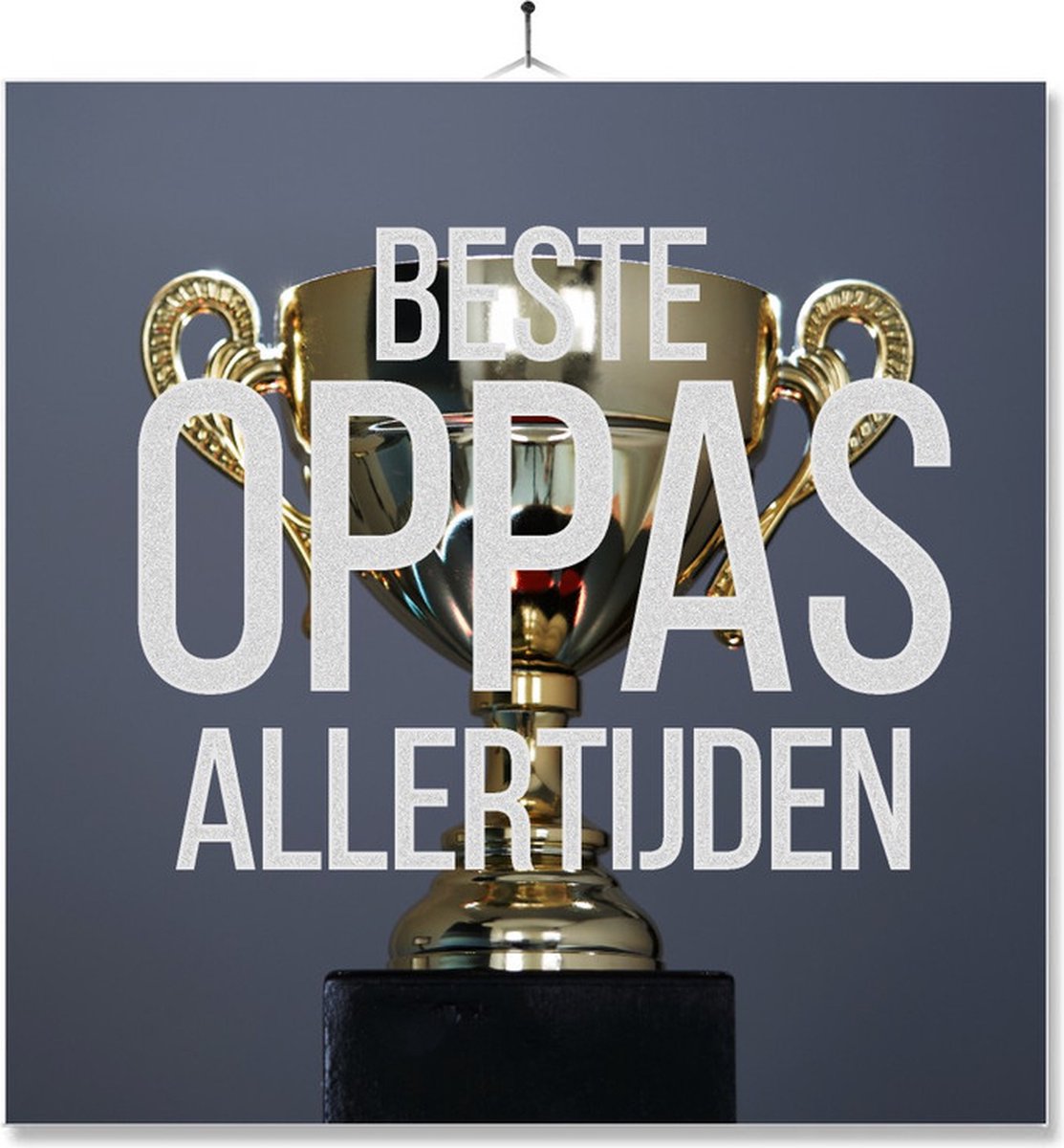 Tegel Met Opdruk | Verjaardag kado | Toilet WC | Beste oppas allertijden | bol