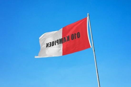 Feyenoord Vlag- Feyenoord Kampioen - 200x100 | bol