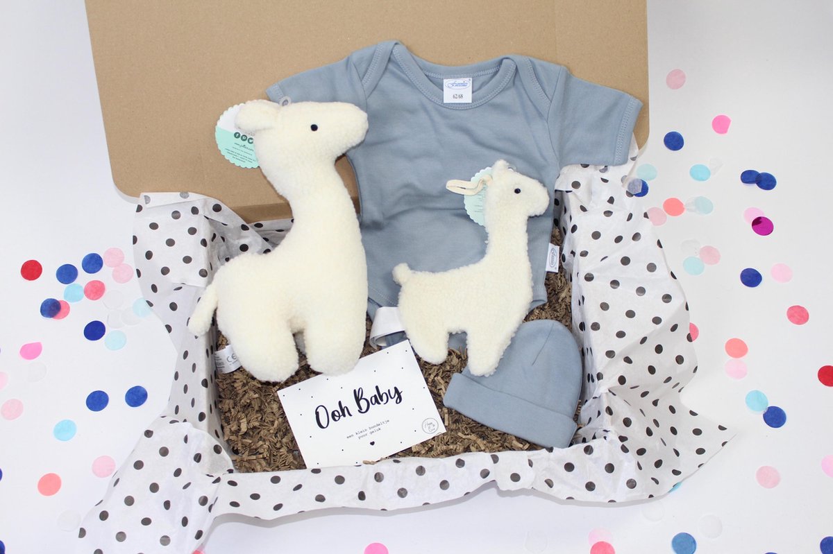 Happy little Box - Babypakket- Kraampakket - 4 leuke producten ...