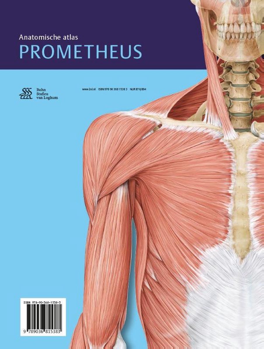 Prometheus anatomische atlas 1 - Algemene anatomie en bewegingsapparaat ...