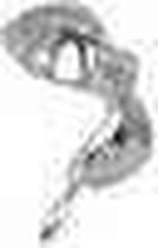 Kalot, d: 3 mm, l: 8 mm, 100 stuks, verzilverd | bol