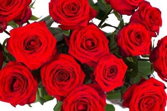 Boeket rode rozen - valentijn - Valentijnsdag - valentijnscadeau - Roos ...