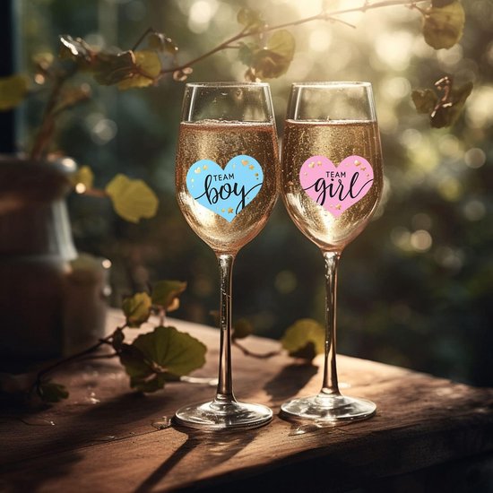 Set van 100 Gender Reveal Stickers voor Feesten en Babyshowers | bol