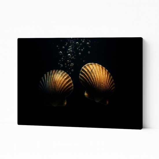 Schelpen met bubbels – kunstobject – Canvas schilderij – 45x30 cm | bol