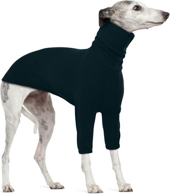 Grote gebreide hondentrui voor windhonden - Donkergroen - Perfecte ...