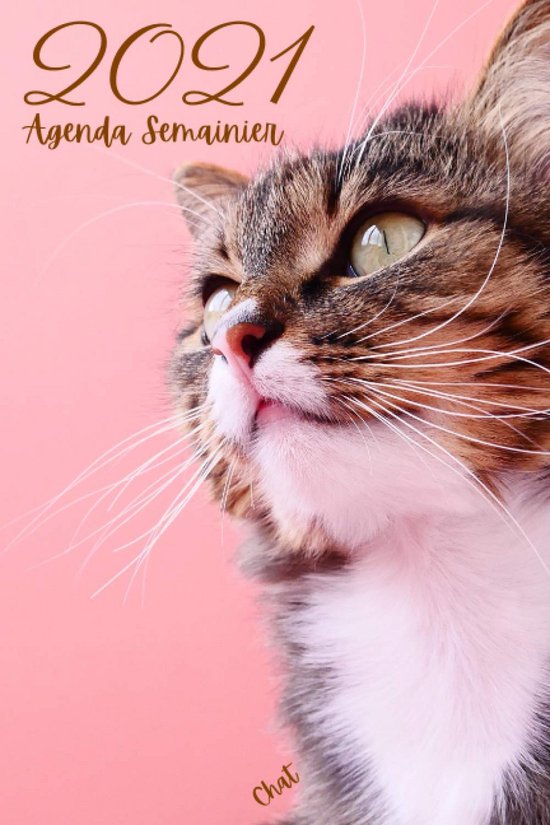 Weekplanner 2021 A5 - Jaarplanner met Maand- en Weekoverzicht ...