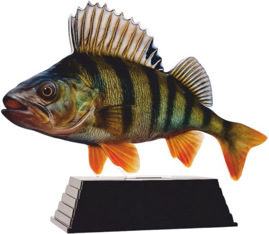 Real Fish Trofee Baars 20 cm Vis Prijs Roofviswedstrijd Viswedstrijd ...