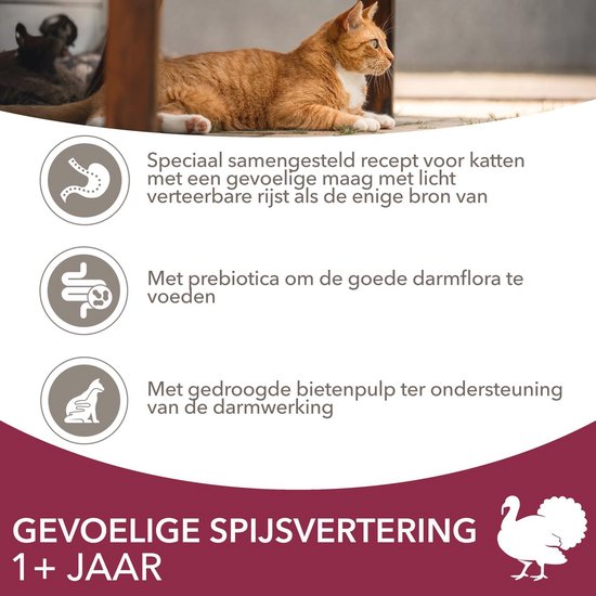 Droogvoer voor katten met gevoelige maag - gemakkelijk verteerbaar met ...