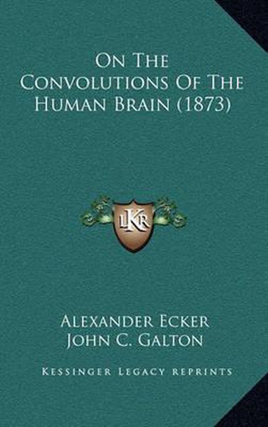 On the Convolutions of the Human Brain (1873), Alexander Ecker ...