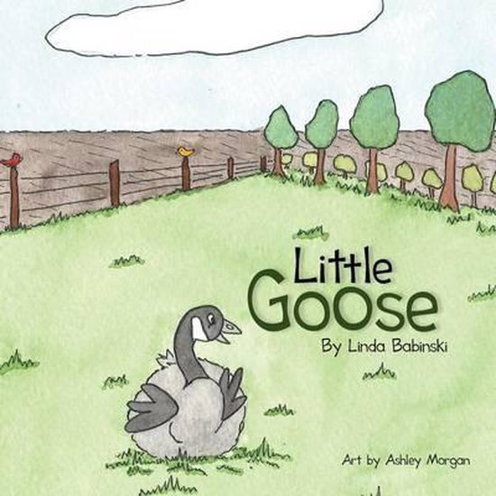 Little Goose, Linda Babinski | 9781481735551 | Boeken | bol
