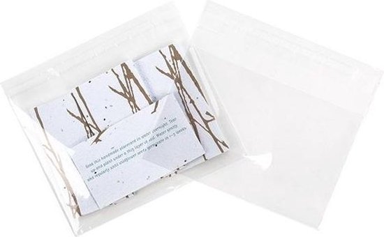 Plastic Zakken 14,3x9,1cm Transparant en Hersluitbaar (100 stuks ...