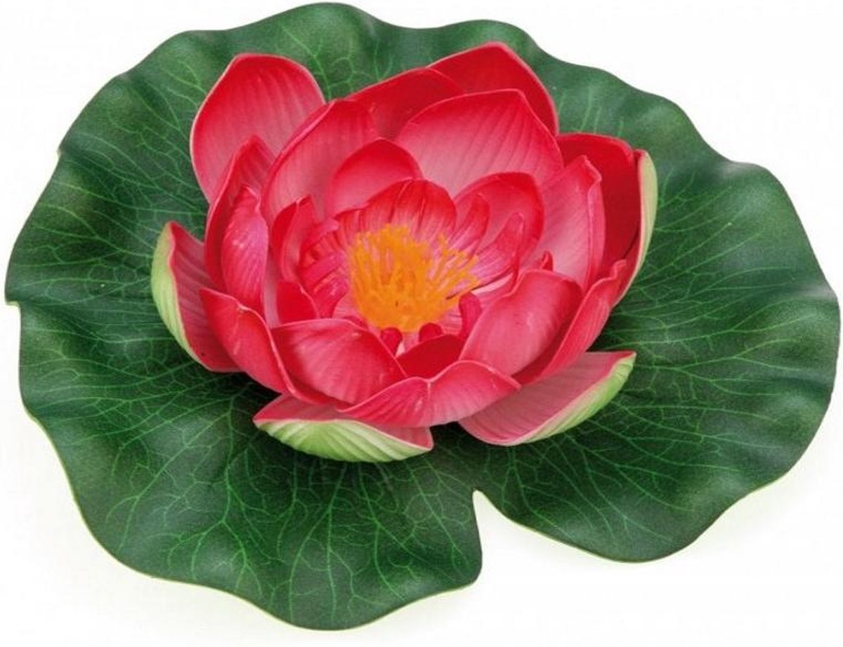 Waterworld Kunststof Waterlelie Rode Waterlelie - Ø 15 cm ↕7 cm | bol.com