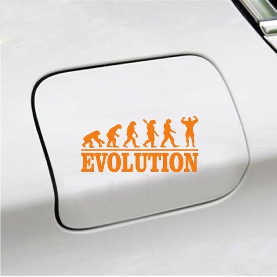 Bumpersticker - Evolution Bodybuilding- 20x9.3 - Oranje | bol