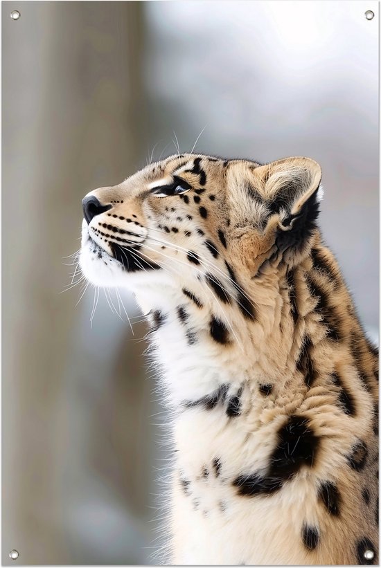 Luipaard posters - Dieren tuinposter - Tuinposter Bokeh - Schutting decoratie - Tuin... | bol