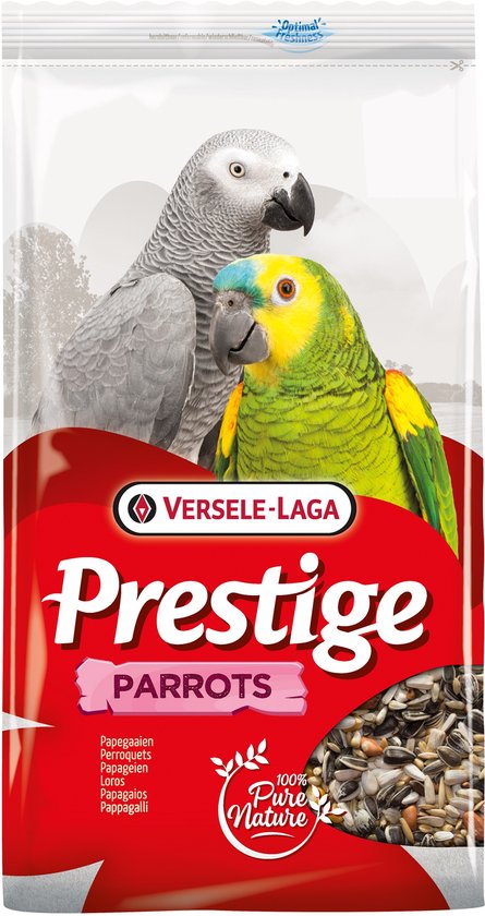 Papegaai voeding | Huisdierpedia