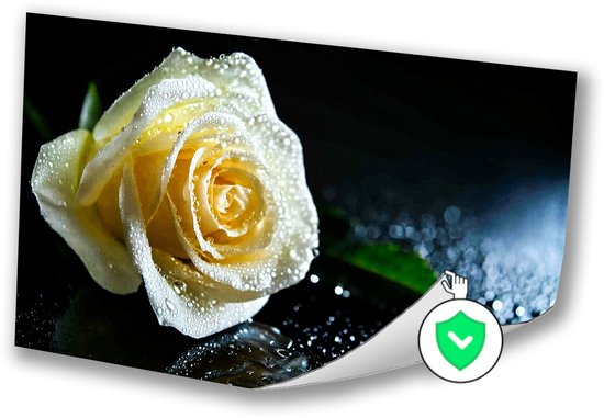 Witte roos met waterdruppels - Roos poster - Muurdecoratie bloemen - Hyperrealisme -... | bol