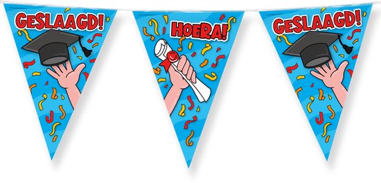 Q2P - Geslaagd Slinger – Vrolijke Vlaggenlijn – 10 Meter – Graduation ...