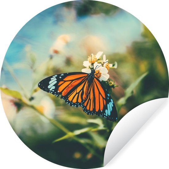 WallCircle - Muurstickers - Behangcirkel - Vlinder - Bloemen - Tuin - ⌀ 30 cm -... | bol