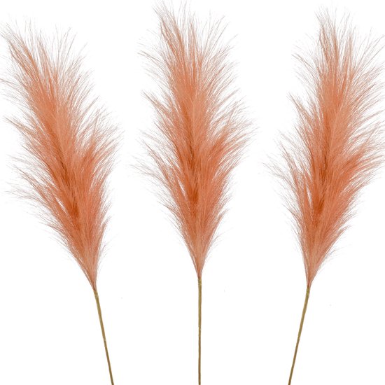 Emerald Pampasgras pluim losse steel/tak - 3x - oudroze - 115 cm ...