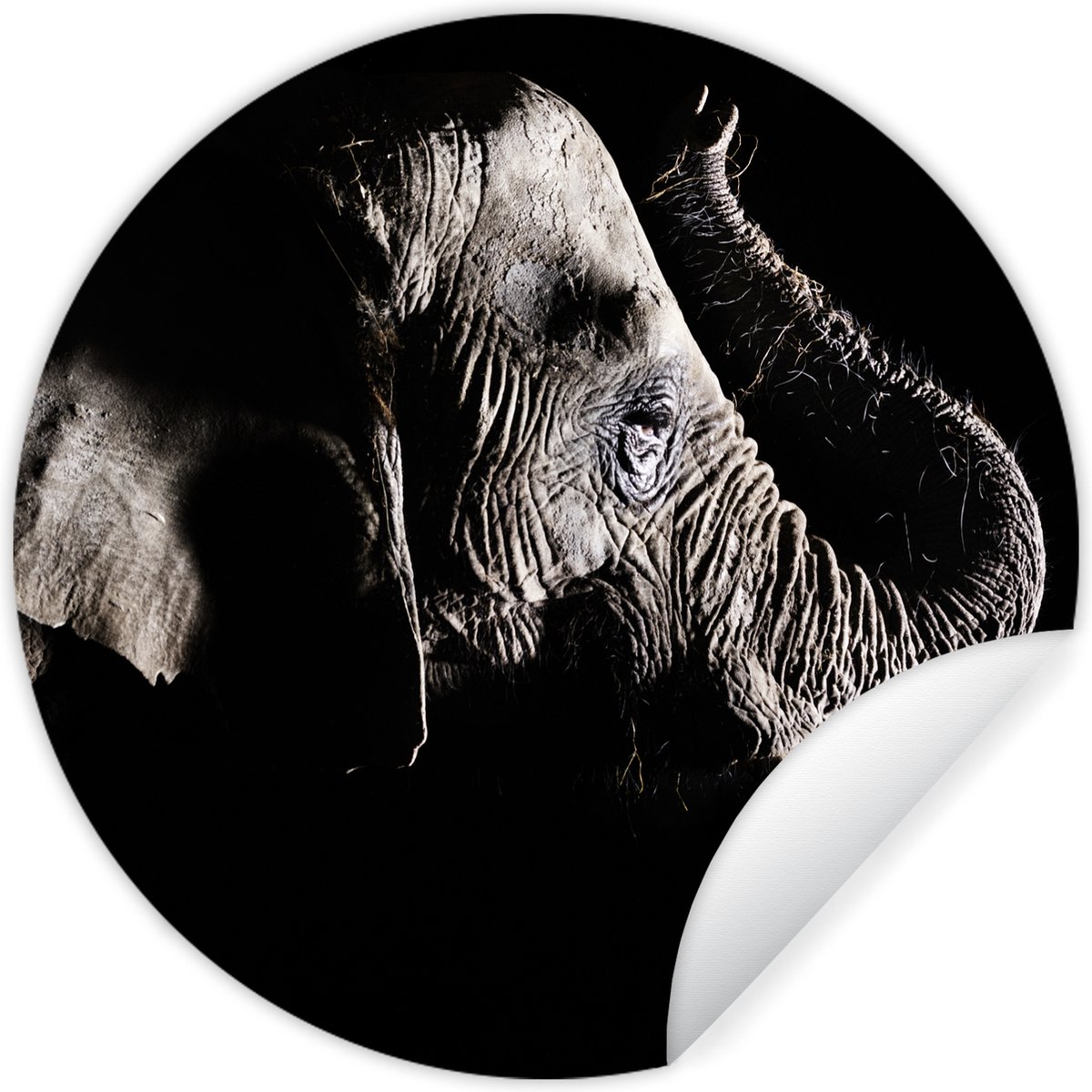 WallCircle - Muurstickers - Behangcirkel - Olifant - Zwart - Dieren - Natuur - 100x100... | bol.com