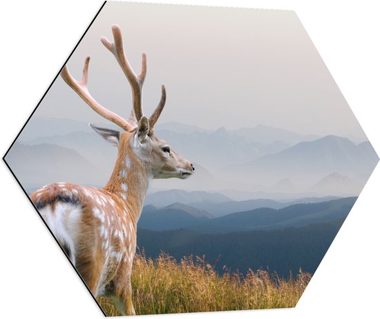 Dibond Hexagon - Hert met witte vlekken staat op berg bij hoog gras - 70x60.9 cm Foto... | bol.com