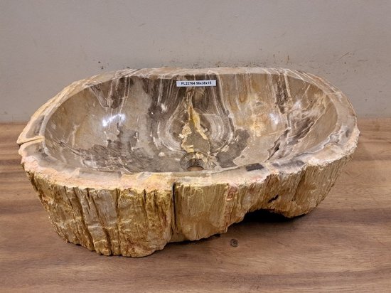 Waskom van versteend hout - 56x38x15cm - FL22764 | bol