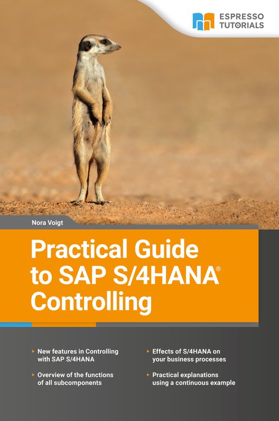 Practical Guide to SAP S/4HANA Controlling (ebook), Nora Voigt | 9783960121541 | Boeken | bol
