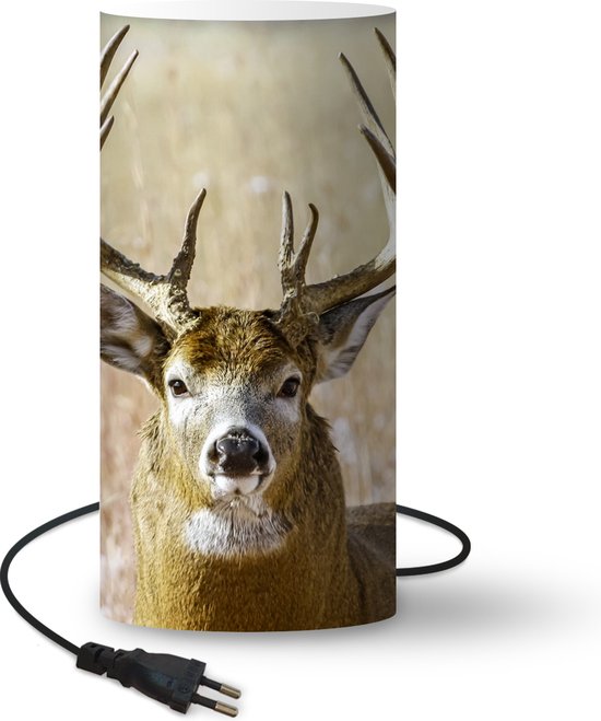 Lampe - Veilleuse - Lampe de table chambre - Cerf - Herbe - Animaux ...