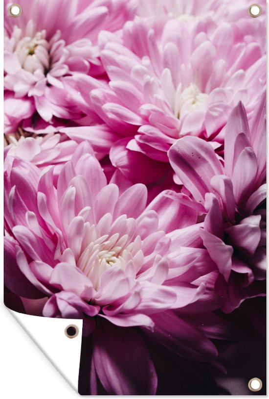 Décoration murale Fleurs - Rose - Nature - 120x180 cm - Poster jardin ...