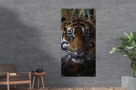 Schuttingposter Tijger - Bladeren - Jungle - Dieren - Wild - 100x200 cm - Tuindoek | bol
