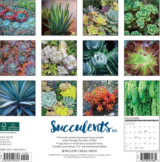 Succulents 2023 Wall Calendar, Willow Creek Press | 9781549227813 ...