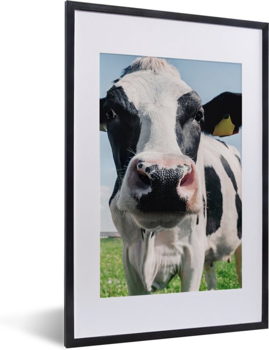 PosterMonkey - Cadre photo - Poster - Vache - Vaches - Nature - Animaux ...