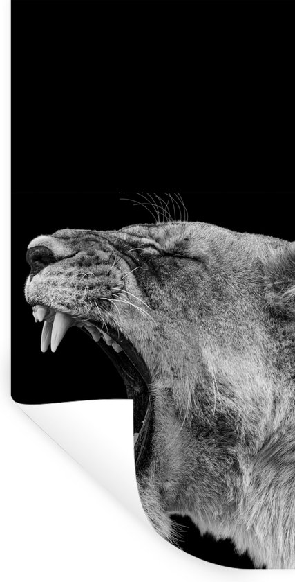 Muurstickers - Sticker Folie - Dieren - Leeuw - Zwart - Wit - Portret - 40x80 cm -... | bol