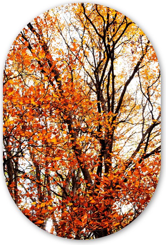 Wall Oval - Décoration murale Plastique - Tableau Ovale - Forêt ...