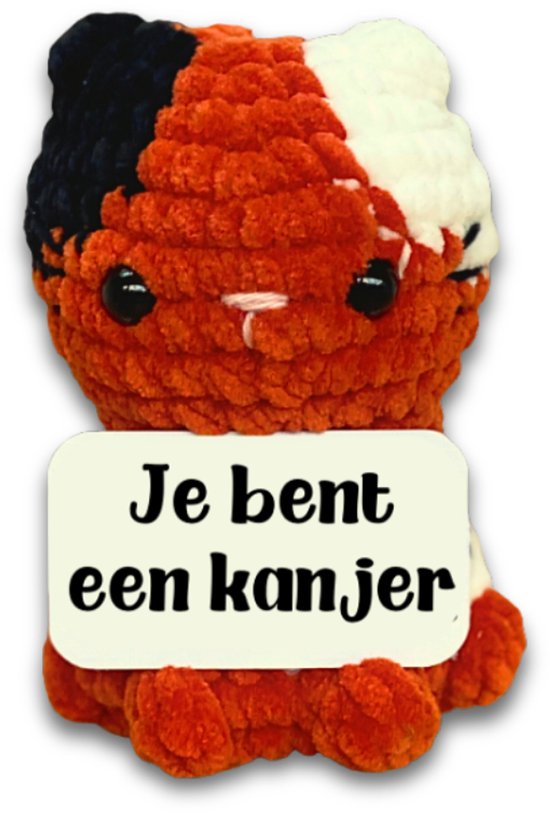 Motivation Buddy Keesje de oranje kat – Gehaakte Knuffel – “Je bent een ...