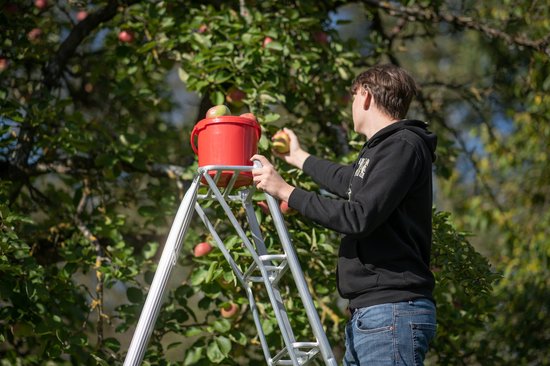 Niwaki Driepoot Tuinladder 330 cm Verstelbaar/ Snoeiladder Tripod ...